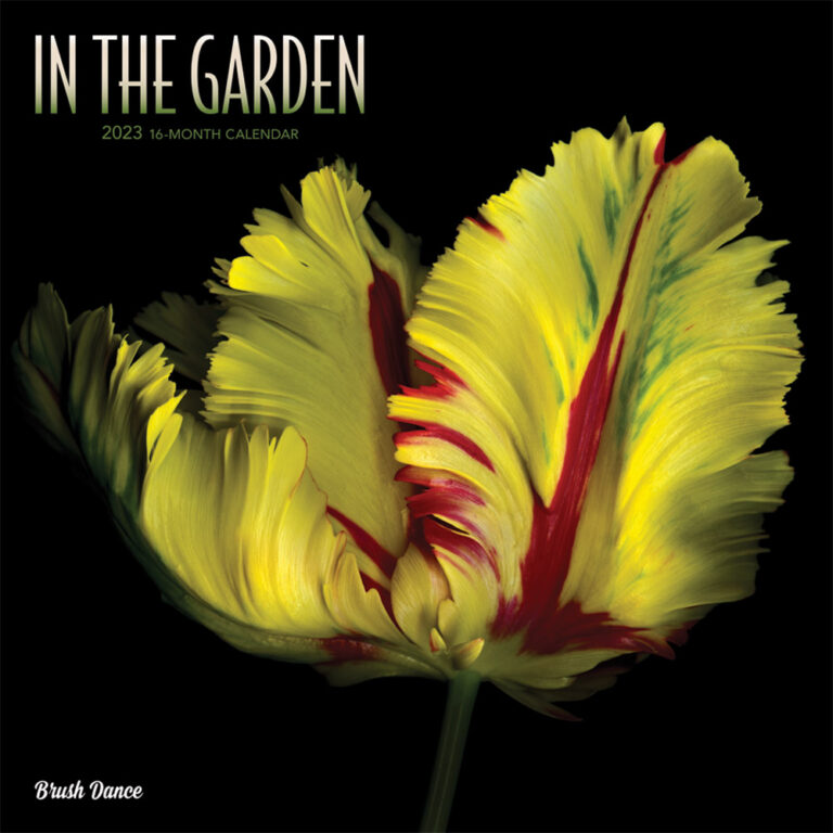 Brush Dance | 2023 Calendar Collection